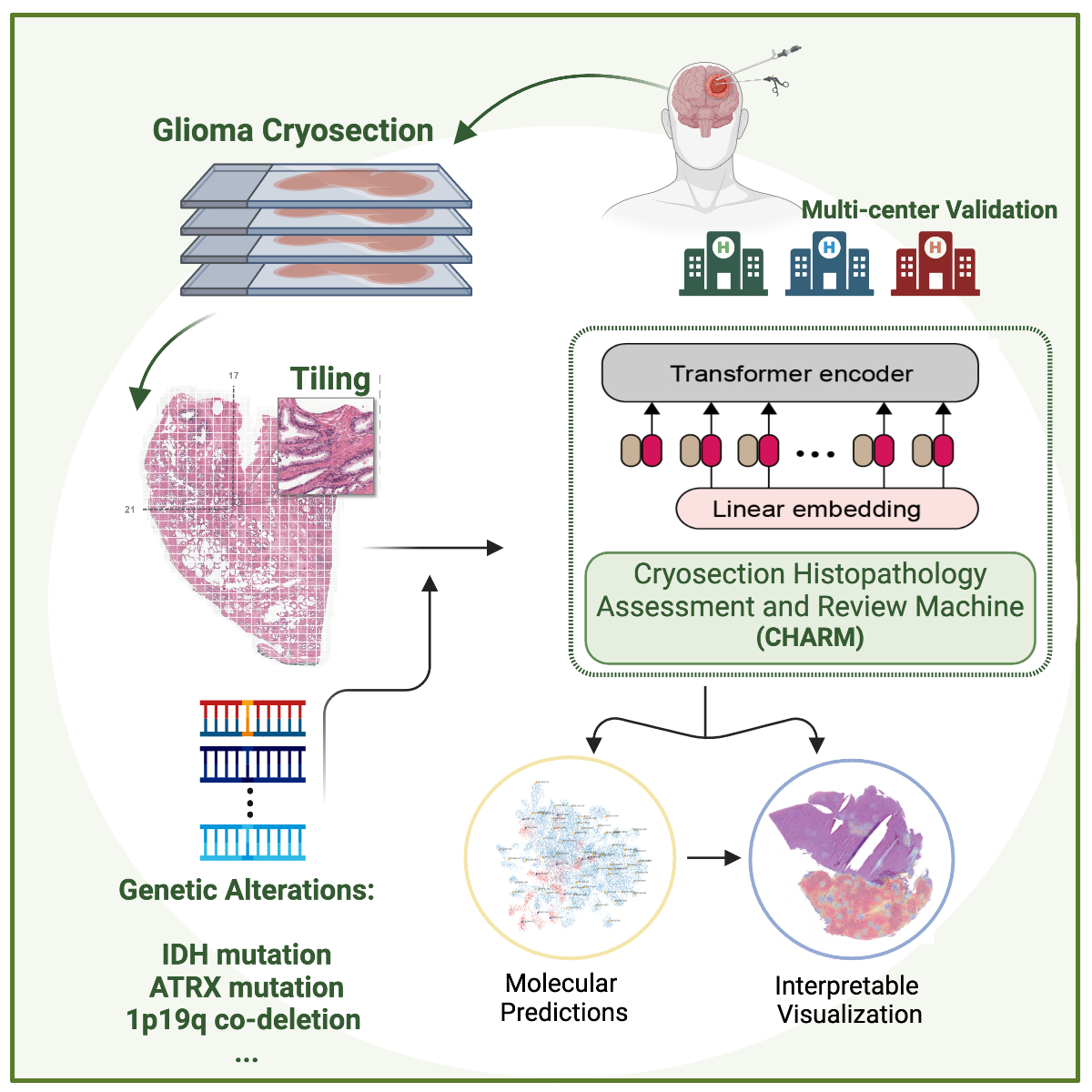 GitHub - hms-dbmi/charm