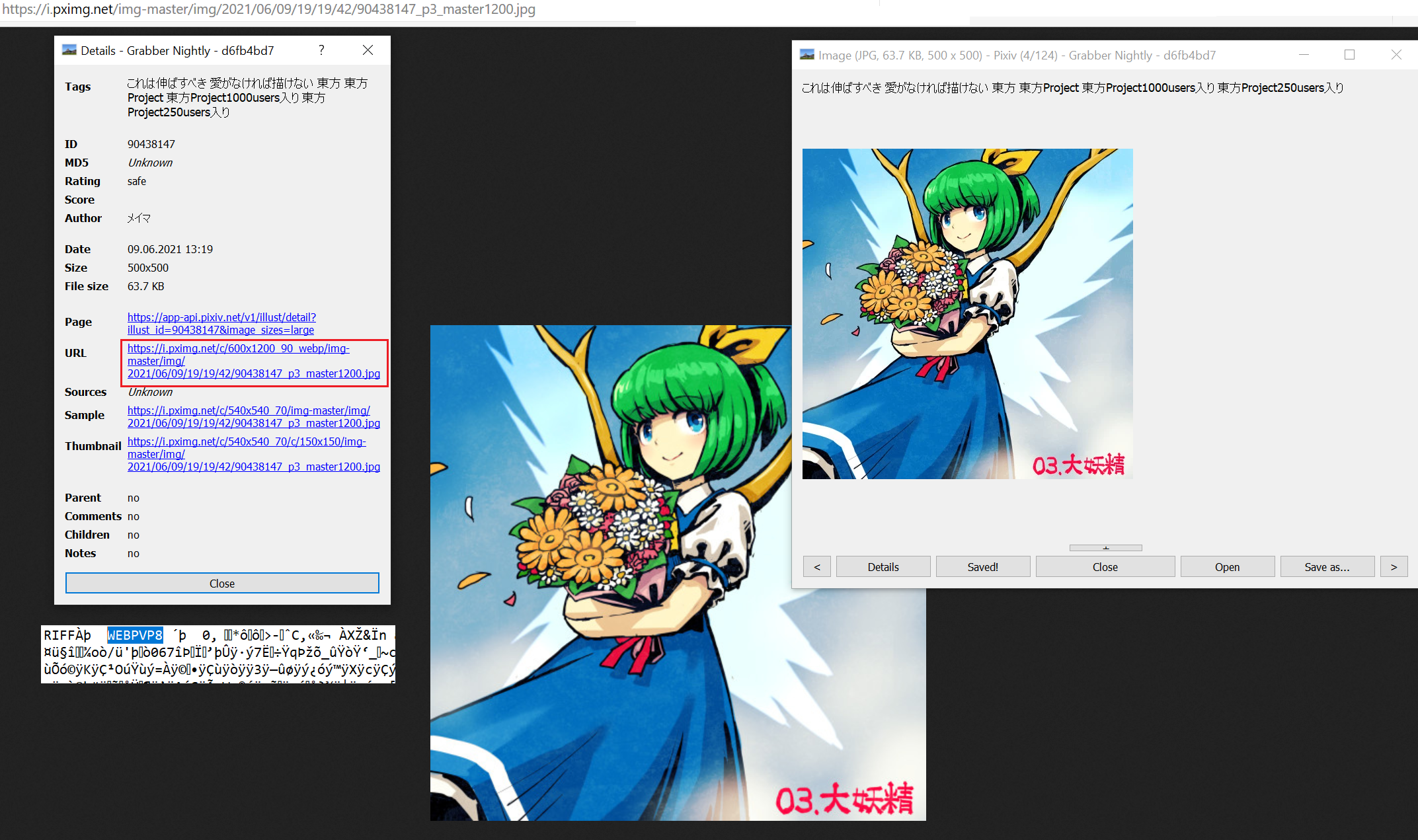 [Bug] [Pixiv] Grabber downloads WEBP images from Pixiv Galleries with JPG ext. · Issue #2566 ...