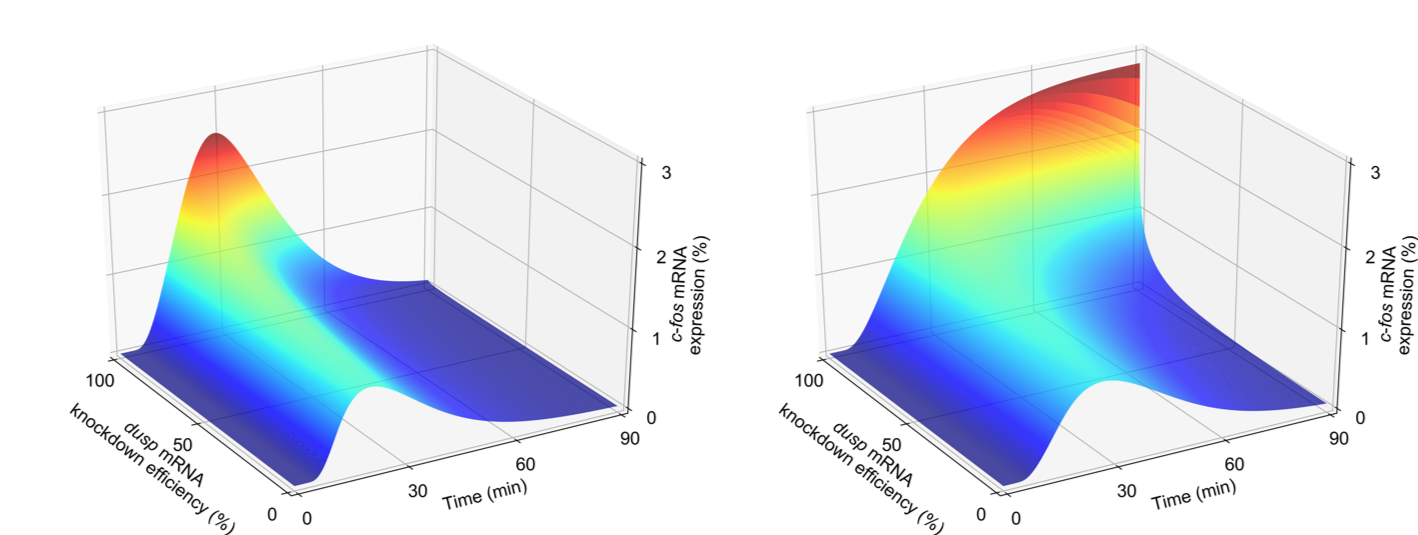 3d Surface Plot