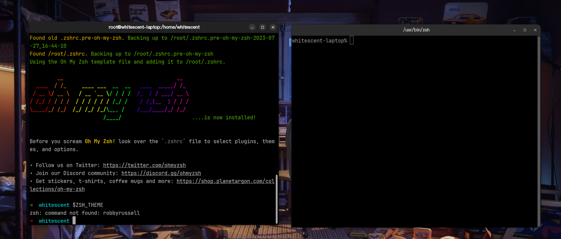 Zsh Doesnt Work · Issue 11818 · Ohmyzshohmyzsh · Github