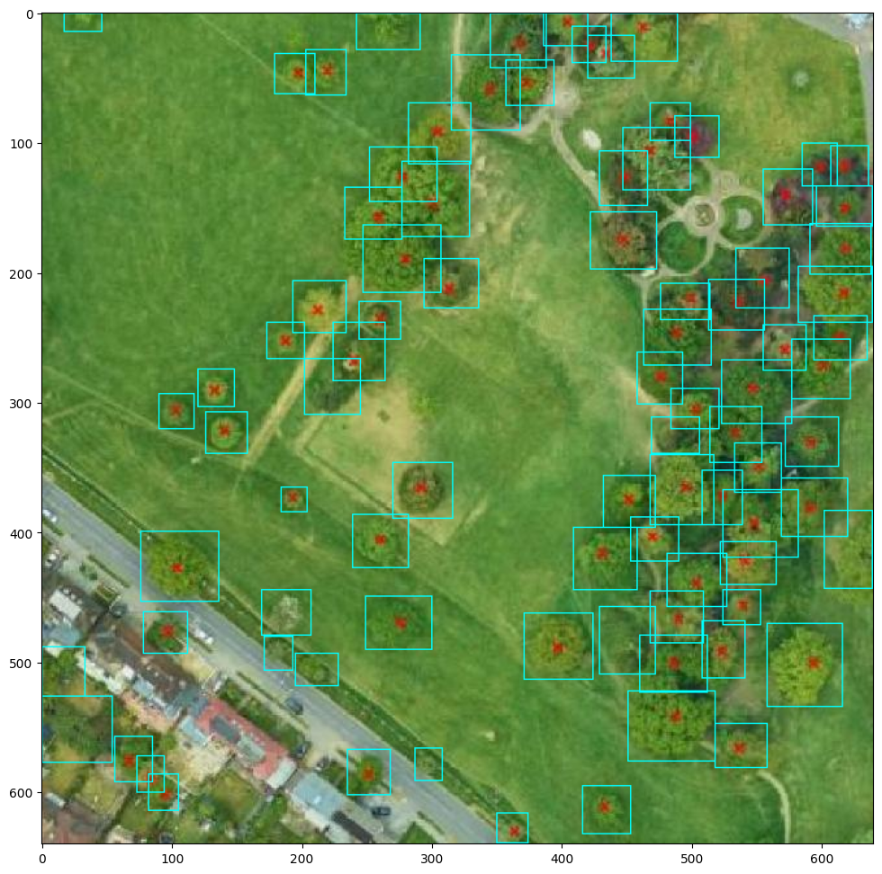 crop bounding boxes · Issue #62226 · tensorflow/tensorflow · GitHub