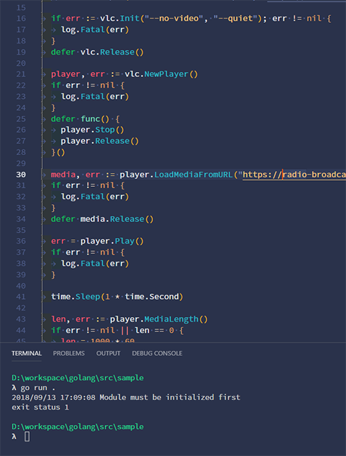 help! libvlc-go can not run · Issue #11 · adrg/libvlc-go · GitHub help! libvlc-go can not run · Issue #11 · adrg/libvlc-go · GitHub