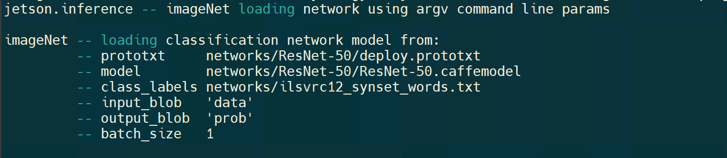 How To Set Batchsize In Python Example About Imagenet? · Issue 1417 · Dusty Nvjetson Inference