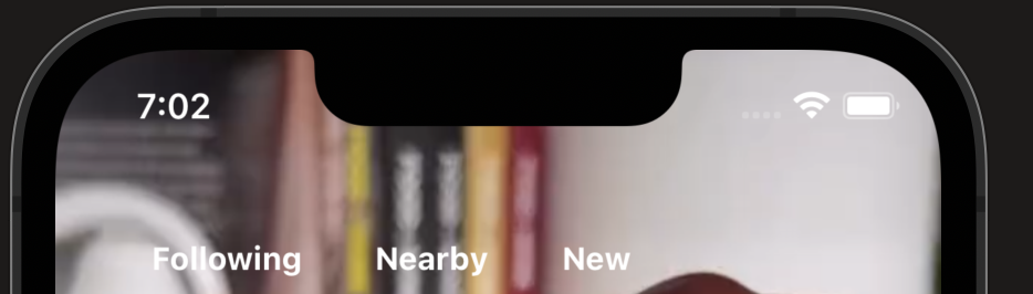 Unexpected blank screen behind notch · Issue #833 · Shopify/flash-list · GitHub