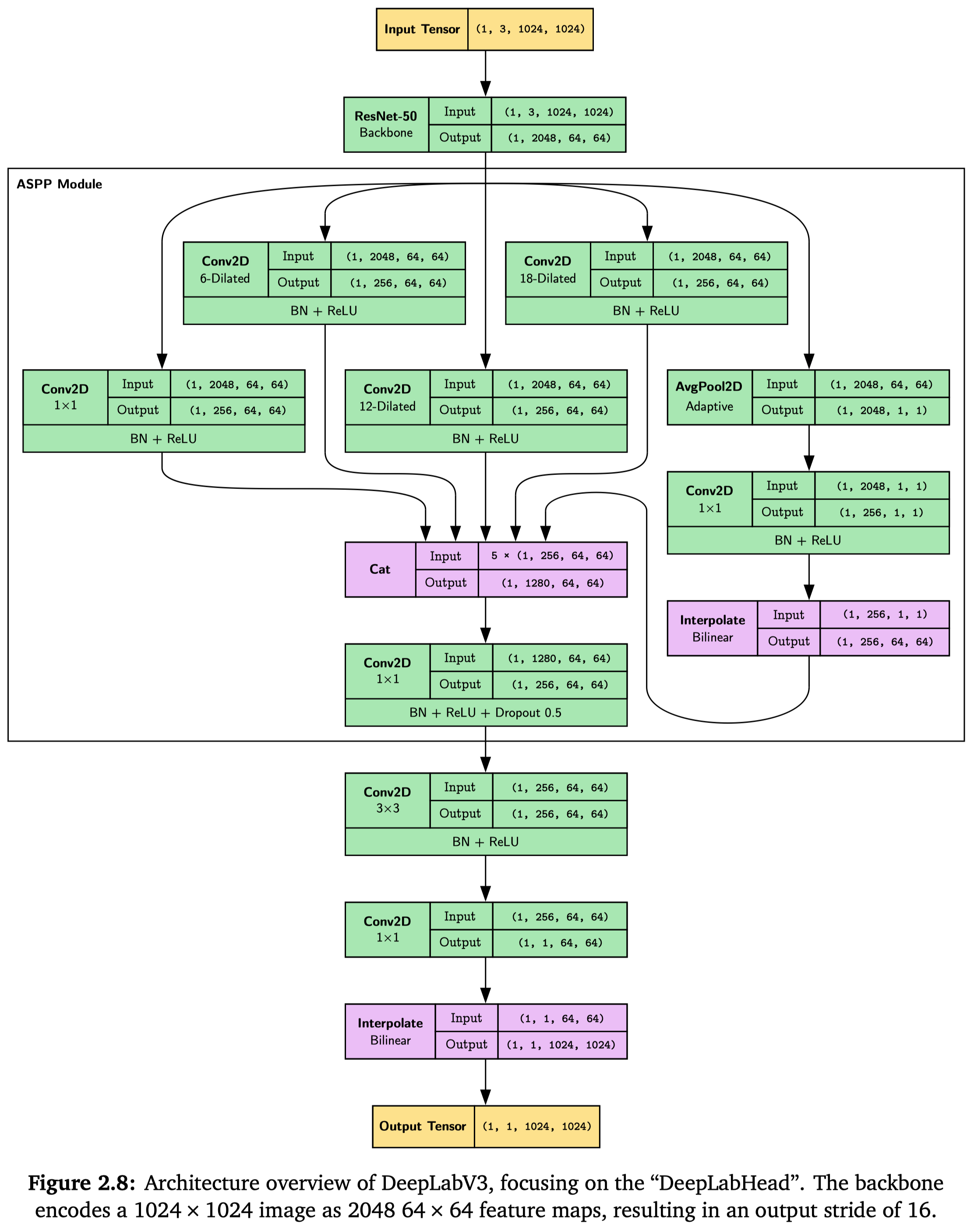 Document Backbone Output Stride And Minimum Input Size For Deeplabv3 · Issue 7955 · Pytorch 