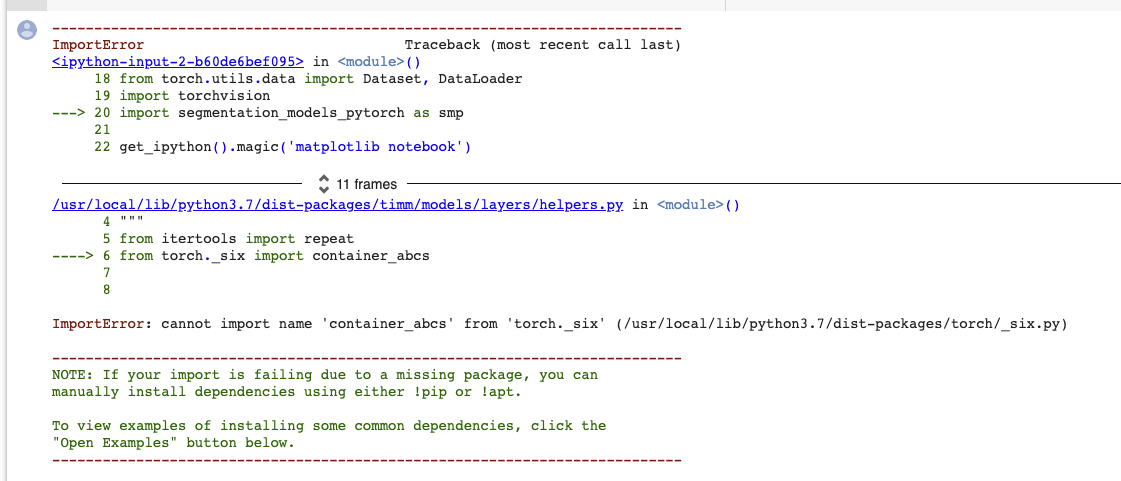 ImportError: cannot import name 'container_abcs' from 'torch._six' · Issue #1 · Mayo-Radiology ...