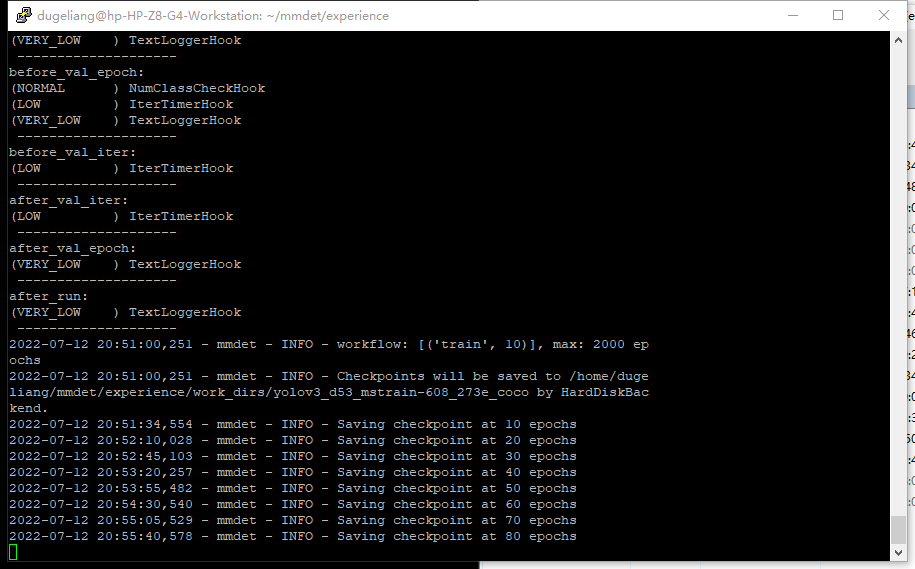 There S No Train Information · Issue 8351 · Open Mmlab Mmdetection · Github