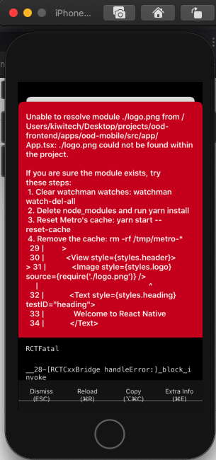 Not able to run react-native project for workspace 11.2.10 using nx run-ios · Issue #4736 · nrwl ...