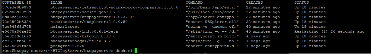 LND fails to start because of missing address manager namespace · Issue ...