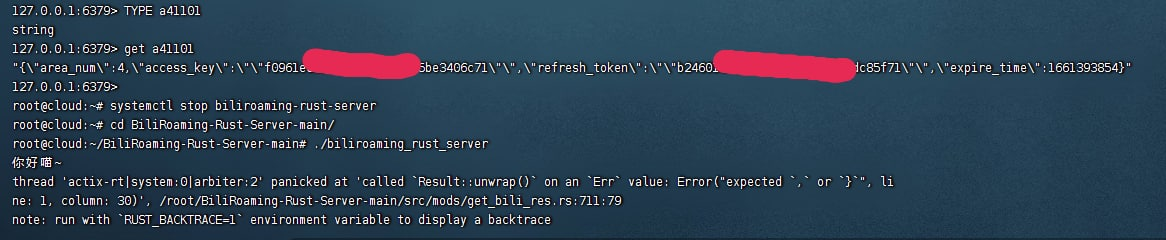 启动失败 · Issue #4 · pchpub/BiliRoaming-Rust-Server · GitHub