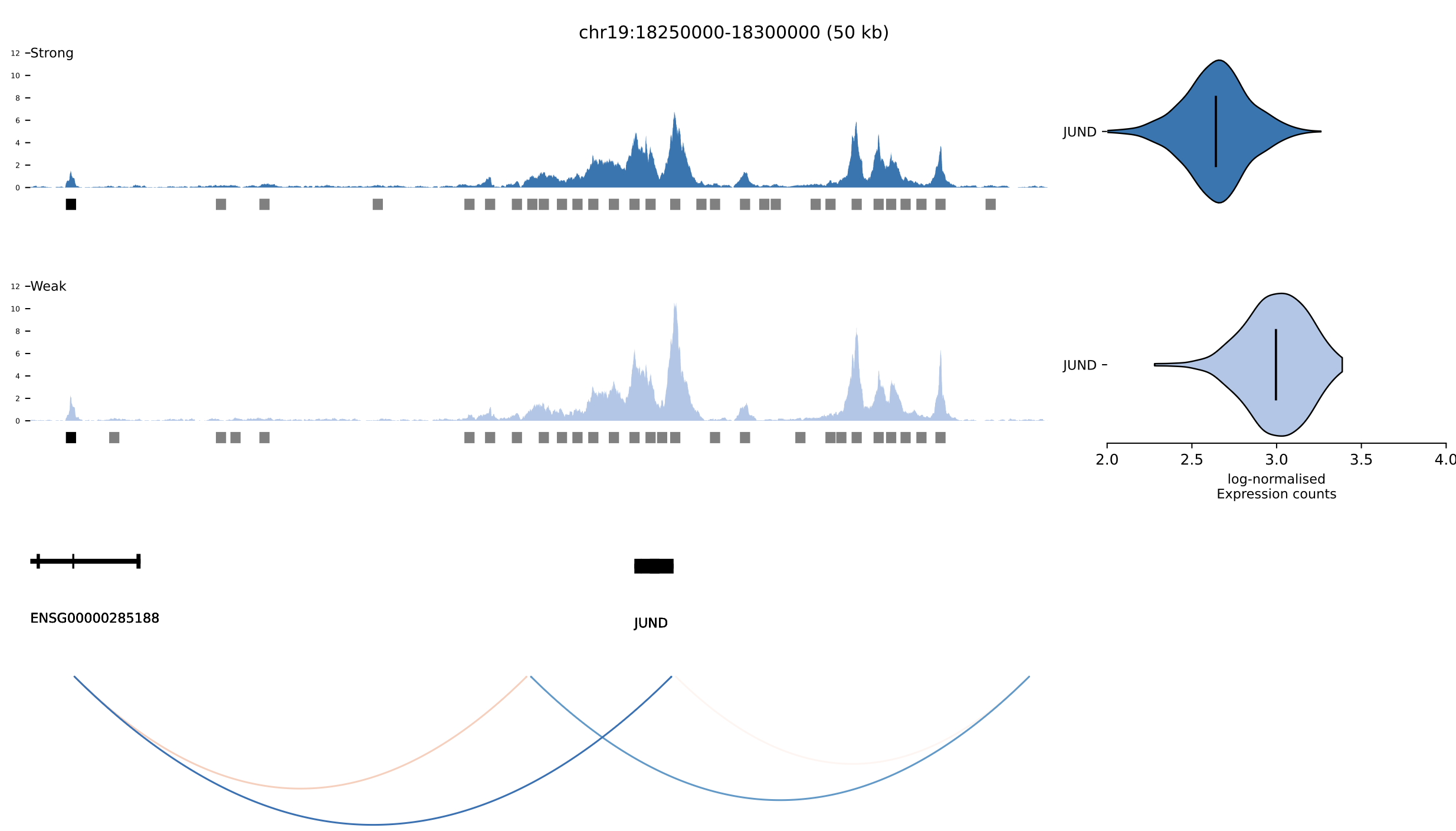 coverageplot does not show gene body, exon, etc · aertslab scenicplus · Discussion #206 · GitHub