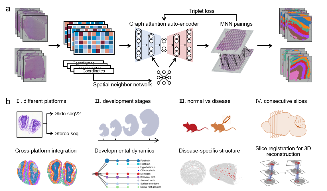 GitHub - zhoux85/STAligner: STAligner is a tool for alignment and integration of spatially ...