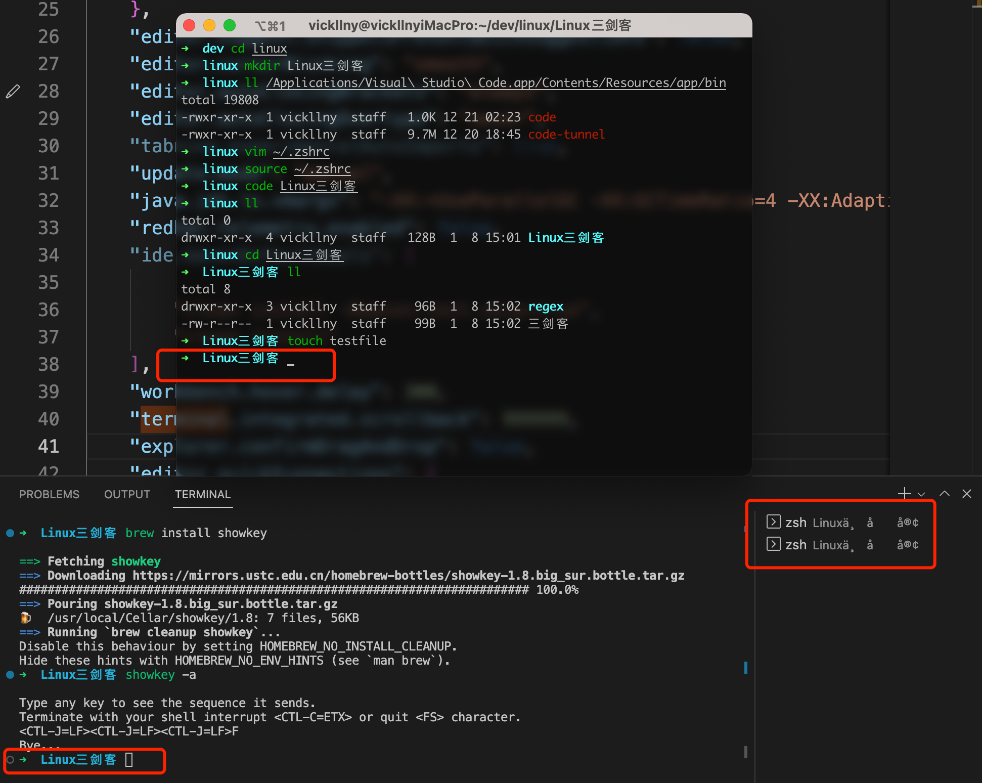 vscode terminal tabs Chinese path garbled · Issue #170793 · microsoft/vscode · GitHub
