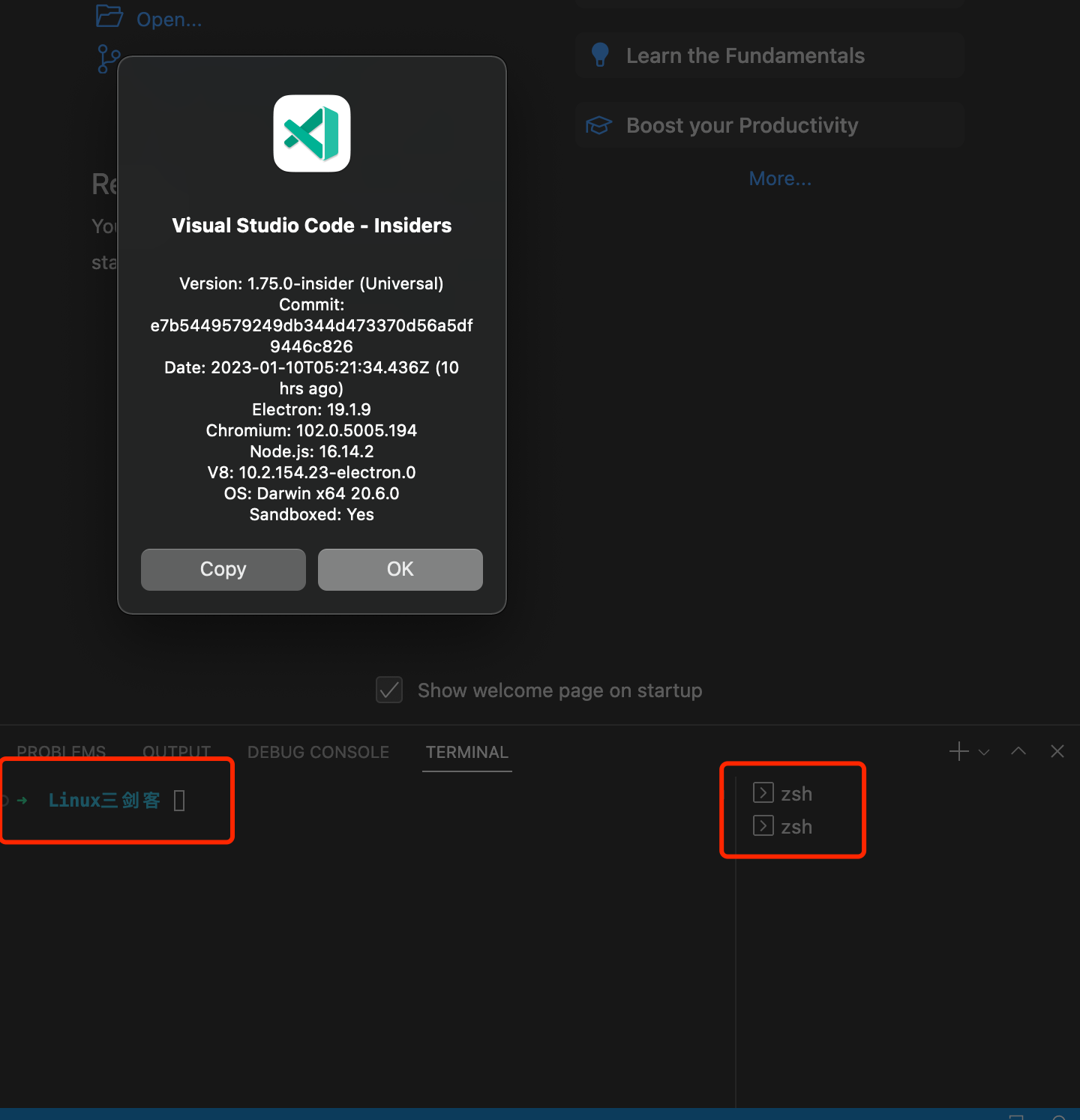 vscode terminal tabs Chinese path garbled · Issue #170793 · microsoft/vscode · GitHub