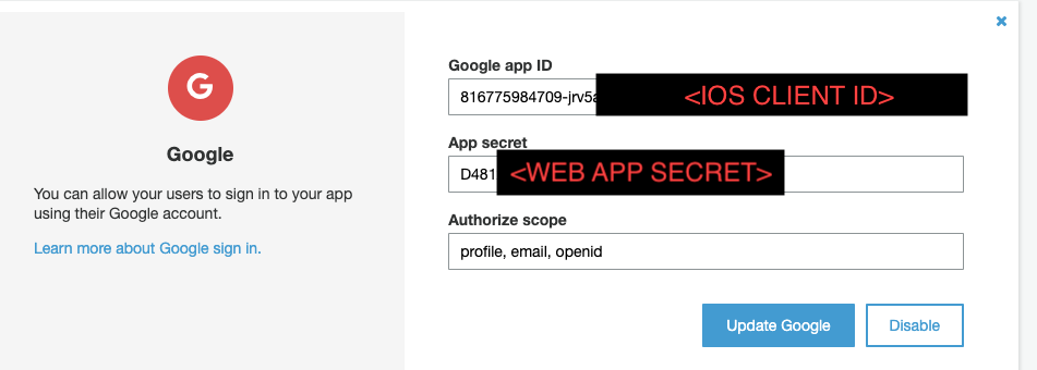 Google federated signin error: NotAuthorizedException: Token is not from a supported provider of ...