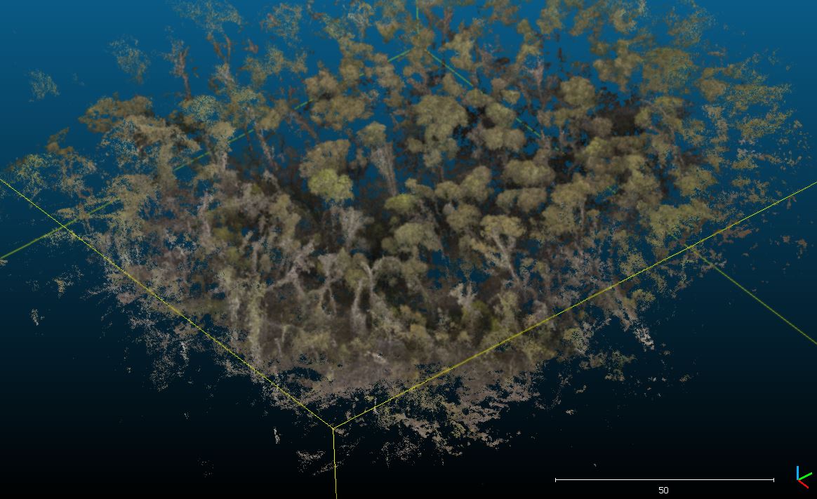 Stripes on point cloud, georeferencing is out. · Issue #411 · OpenDroneMap/WebODM · GitHub