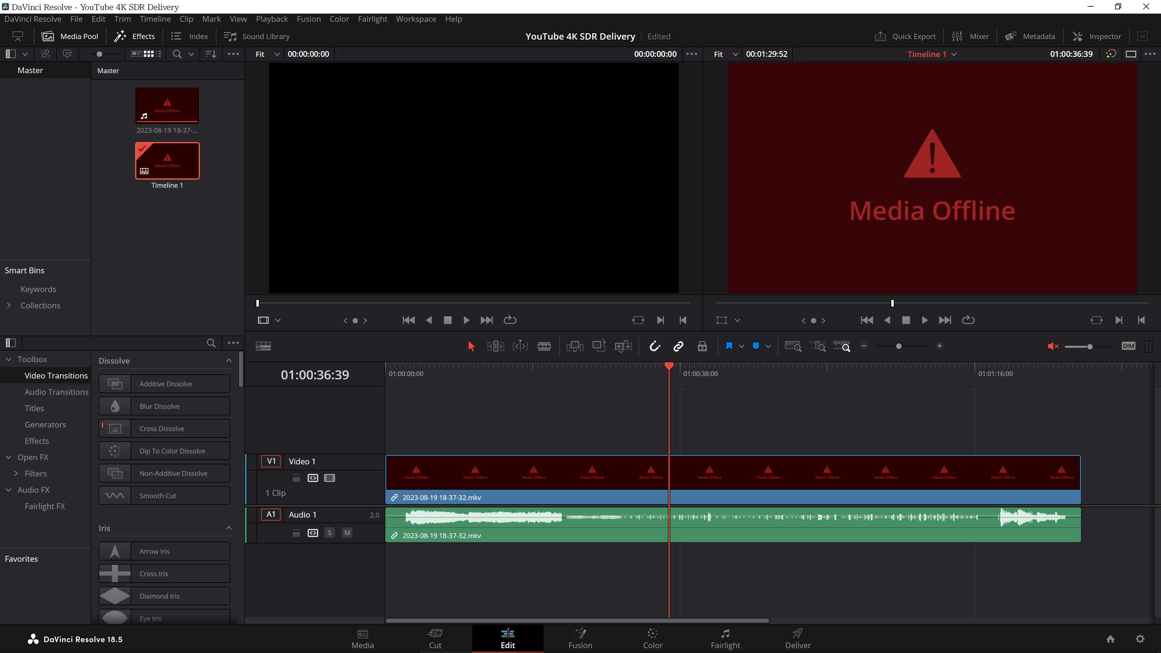 Decoding any recording in DaVinci Resolve results in Media Offline, video only, outputs in ...
