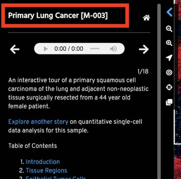 adding a sample name in Minerva Author · Issue #23 · labsyspharm/minerva-story · GitHub