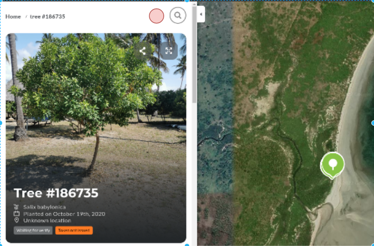 Theme mode toggle on embed pages · Issue #791 · Greenstand/treetracker-web-map-client · GitHub
