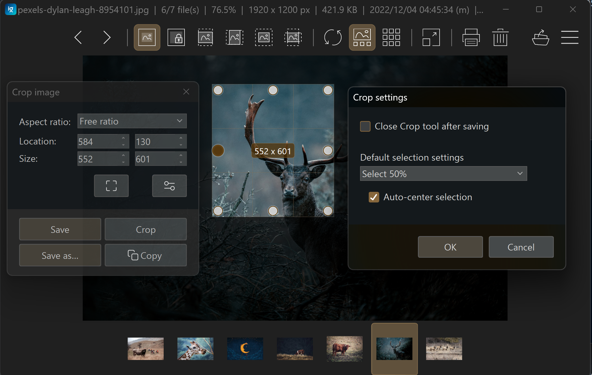 Crop Tool Enhancements · Issue #755 · d2phap/ImageGlass · GitHub
