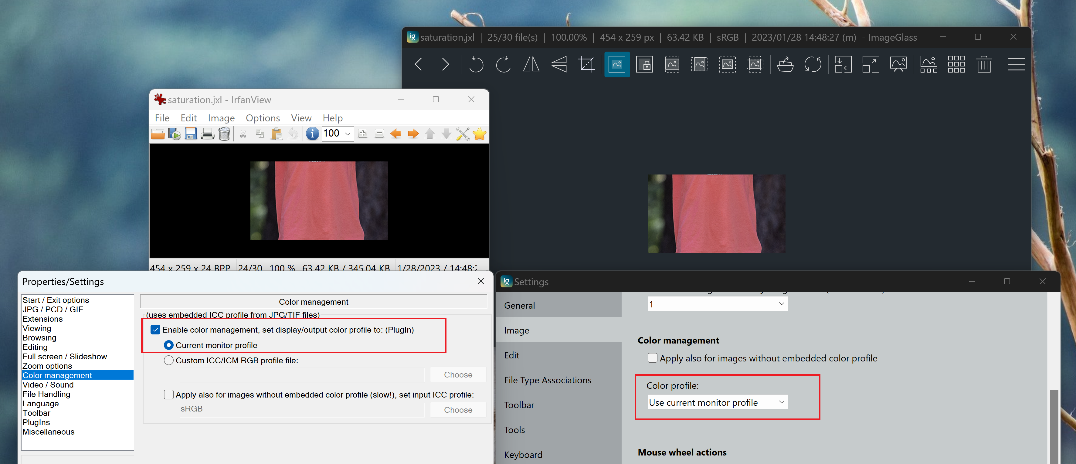 image saturation difference between jpg and lossless jxl · Issue #1487 · d2phap/ImageGlass · GitHub