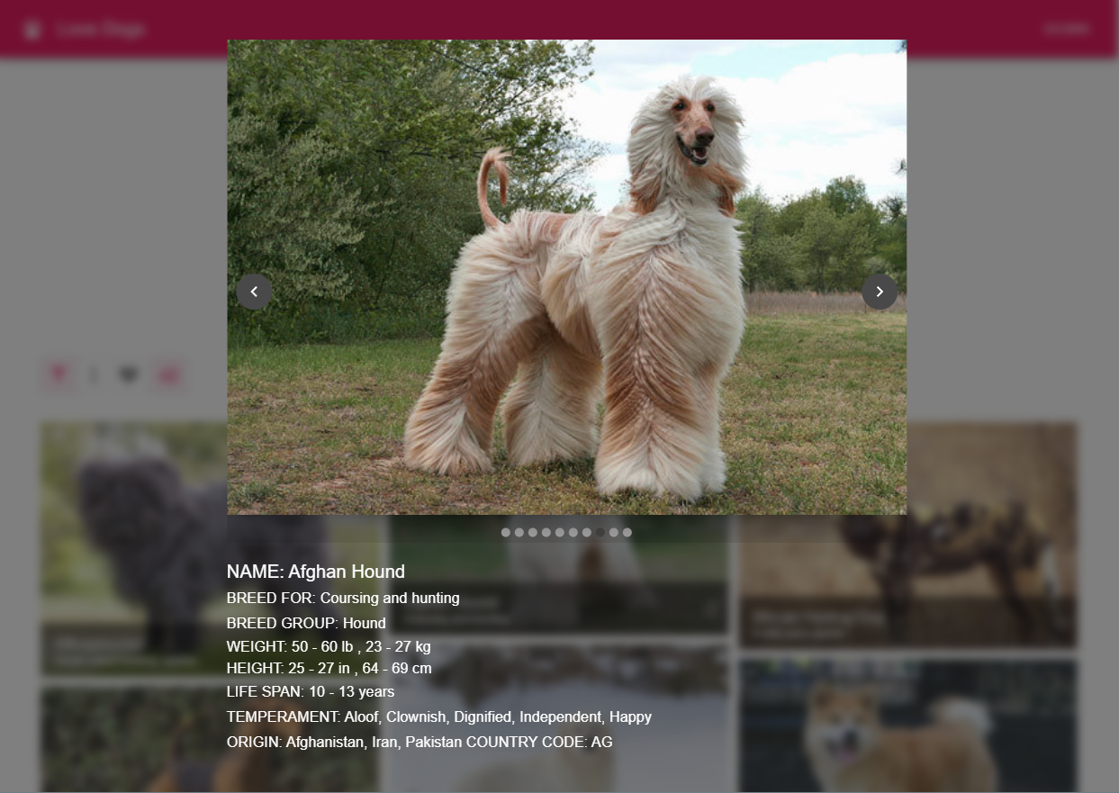 love-dogs-app - Codesandbox