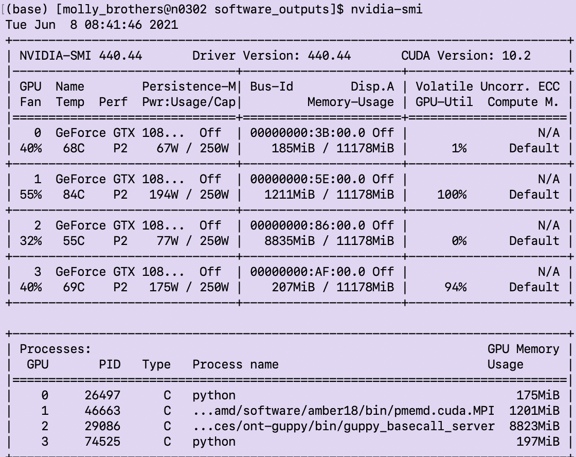 Optimizing Megalodon Gpu Utilization On Computing Cluster · Issue 153 · Nanoporetech Megalodon