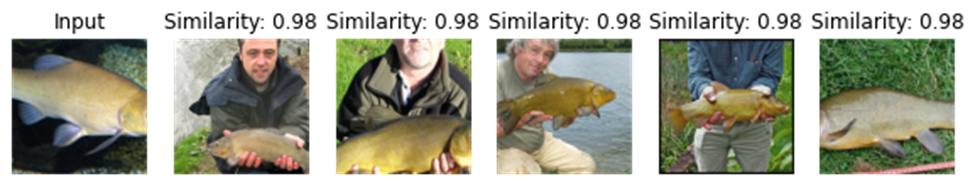 GitHub - MansiGit/Image_Similarity_Search: Image similarity search ...