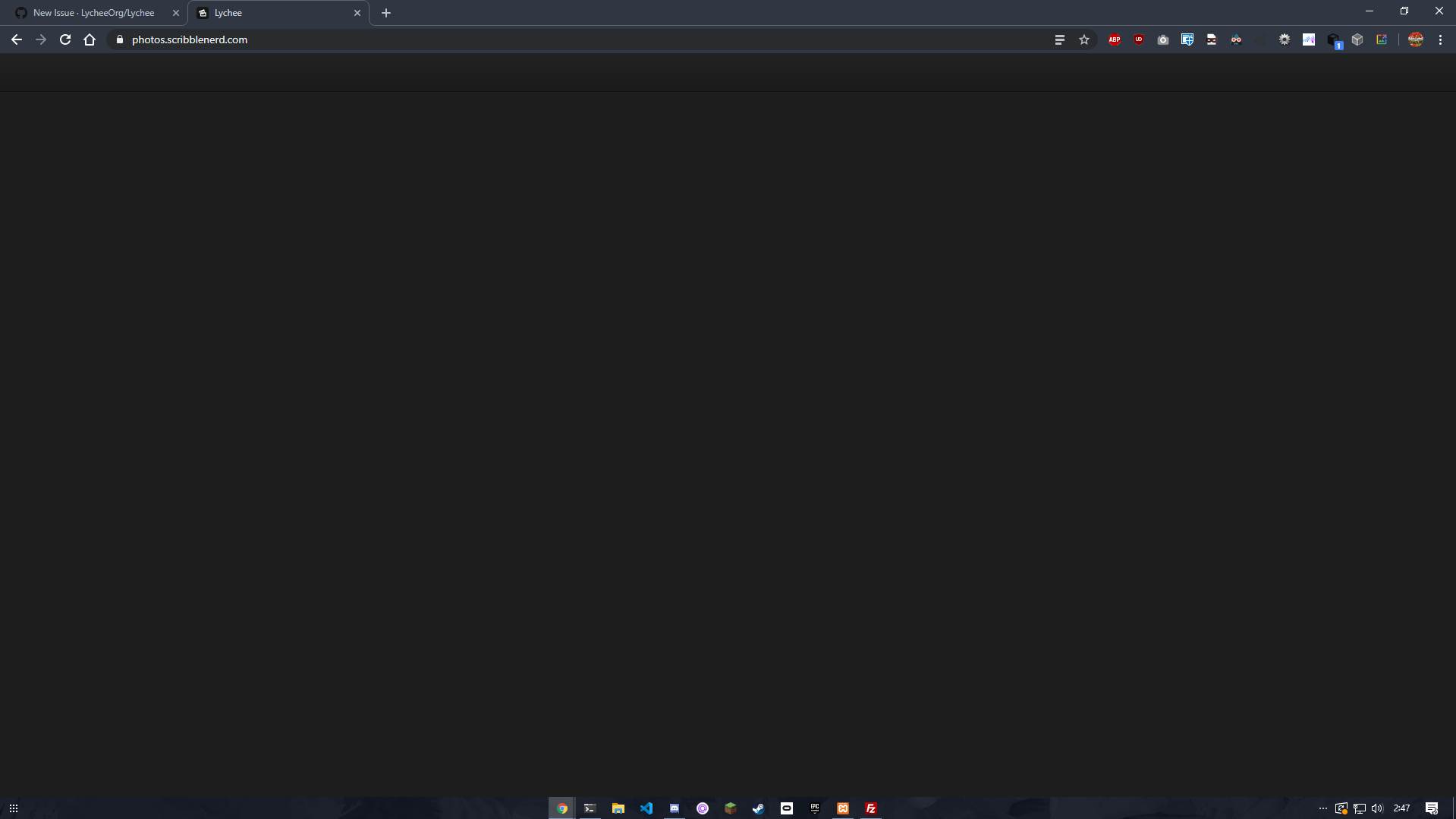 Getting blank screen when loading into website · Issue #306 · LycheeOrg ...