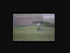 NEF image size is wrong and extra parameters are invalid · Issue #281 · webp-sh/webp_server_go ...