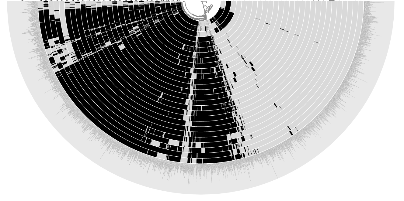 [BUG] Problems reproducing visualization created with anvi-display-functions · Issue #1870 ...