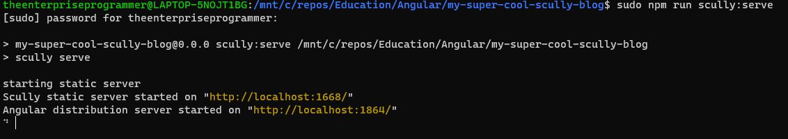 npm run scully hangs on Ubuntu WSL · Issue #844 · scullyio/scully · GitHub
