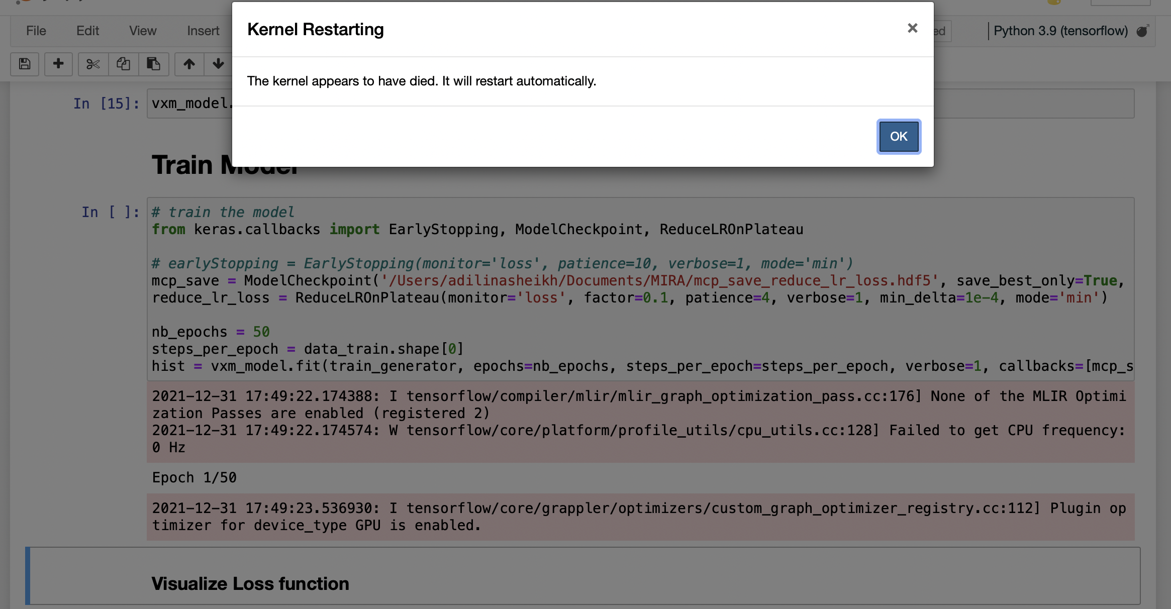 VoxelMorph M1 Pro chip - Kernel dies · Issue #383 · voxelmorph/voxelmorph · GitHub
