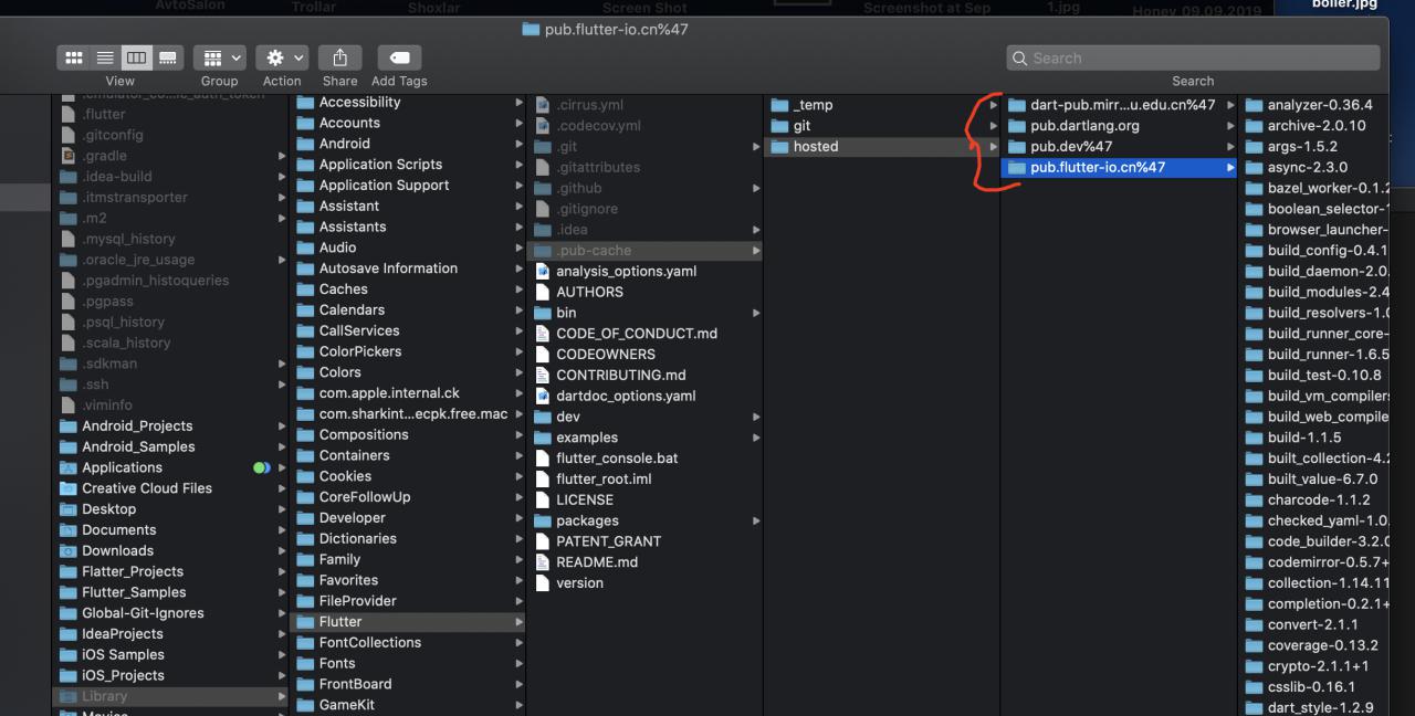Building Flutter Tool Not Responding And Not Stopping After Update Hotfix 5 · Issue 43066