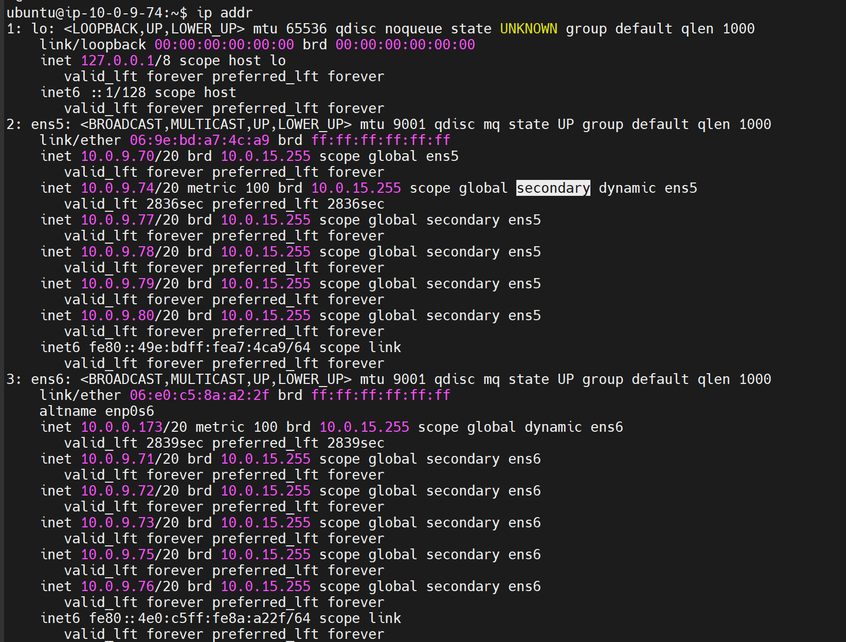 Secondary Network Interface Not Work In Aws · Issue 476 · Tinyproxy Tinyproxy · Github