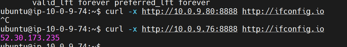 Secondary Network Interface Not Work In Aws · Issue 476 · Tinyproxy Tinyproxy · Github