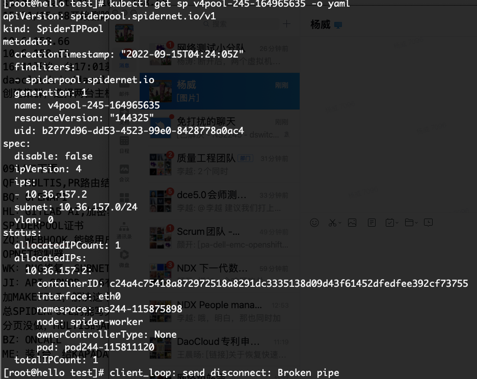 no nics network card show · Issue #711 · spidernet-io/spiderpool · GitHub