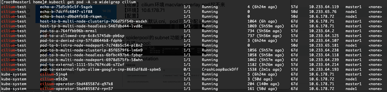 cilium环境macvlan-overlay pod起不来 · Issue #84 · spidernet-io/cni-plugins · GitHub