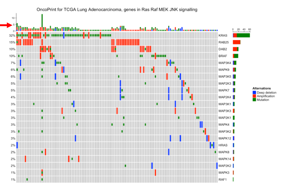 Remove Top Bar Plot Above Oncoprint · Issue 424 · Jokergoo Complexheatmap · Github