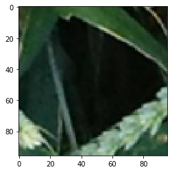 GitHub - ehijano/Faster-RCNN-Global-Wheat-Detection