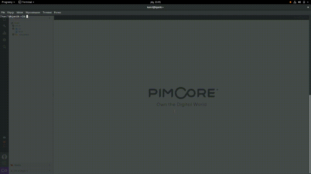 GraphQL Support · Issue #3065 · pimcore/pimcore · GitHub