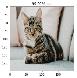 GitHub - Antikpatel/Cat-Dog-CNN-Classifier