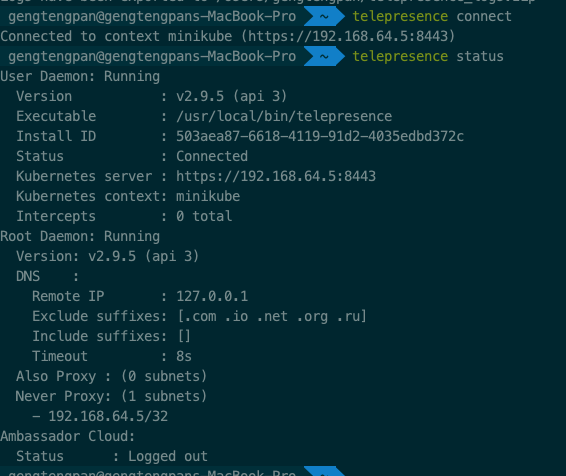 address family not supported by protocol family · Issue #2940 · telepresenceio/telepresence · GitHub
