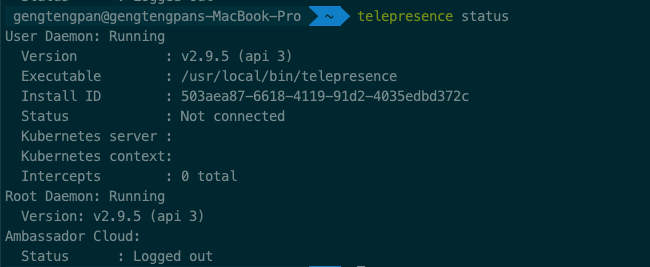 address family not supported by protocol family · Issue #2940 · telepresenceio/telepresence · GitHub