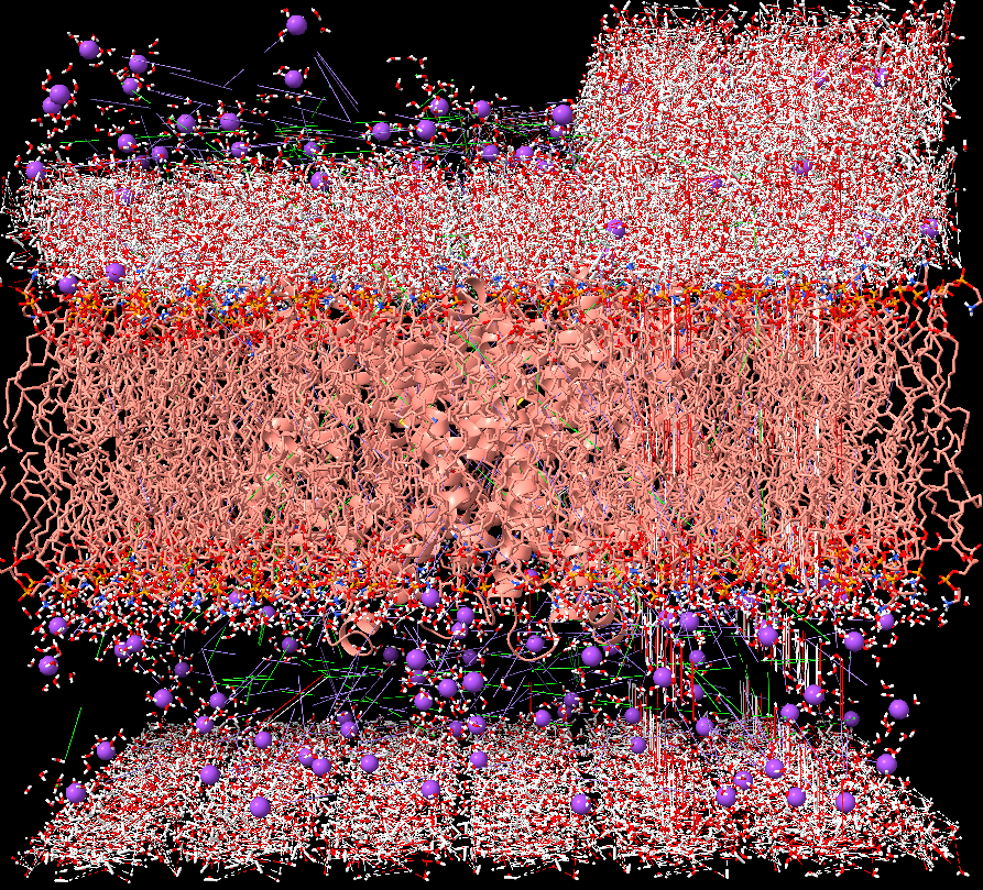 CHARMM-GUI to OpenMM to PDB file to PyMol fails to load correct ...