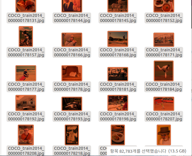 Why is the number of dataset of coco's images and dataset of coco's ...