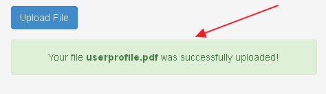 When you add a file to the connections page, it should tell you that the file has been uploaded ...