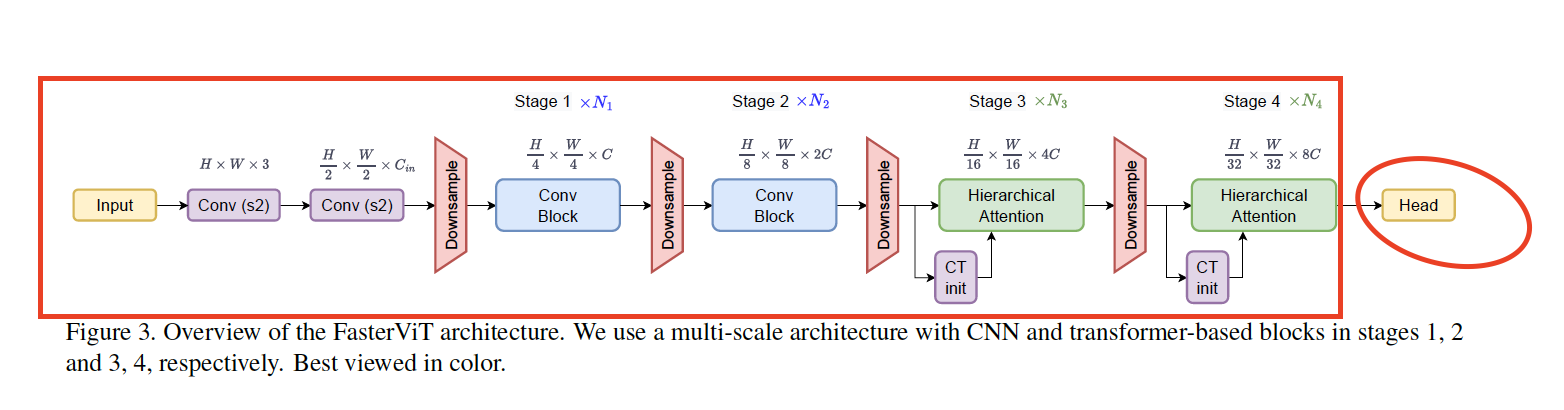 Detection and segmentation models · Issue #21 · NVlabs/FasterViT · GitHub