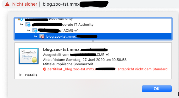 Subject alternative name extension must be marked critical if the "subject" field is empty ...