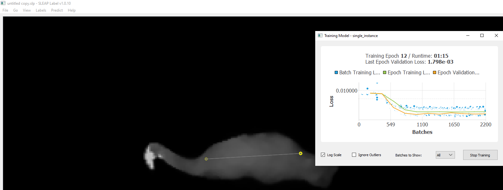 Error When Running Training · Issue 458 · Talmolab Sleap · Github